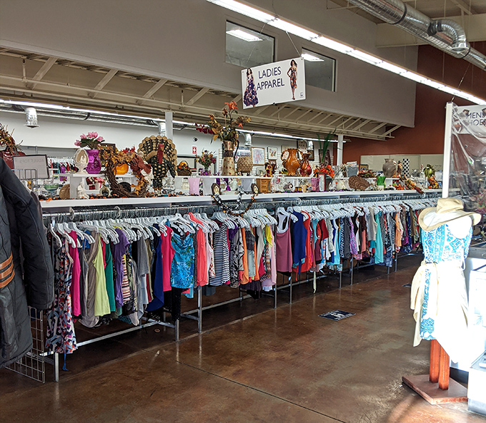 The ladies' apparel section: a rainbow of possibilities where vintage treasures hide between everyday basics, waiting for their second act.