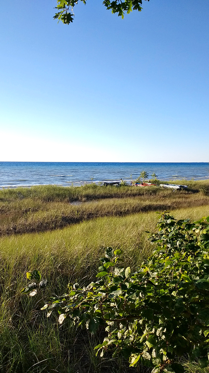 Coastal grasses frame Lake Michigan's blue horizon &ndash; nature's version of a perfect picture frame for an ever-changing masterpiece.