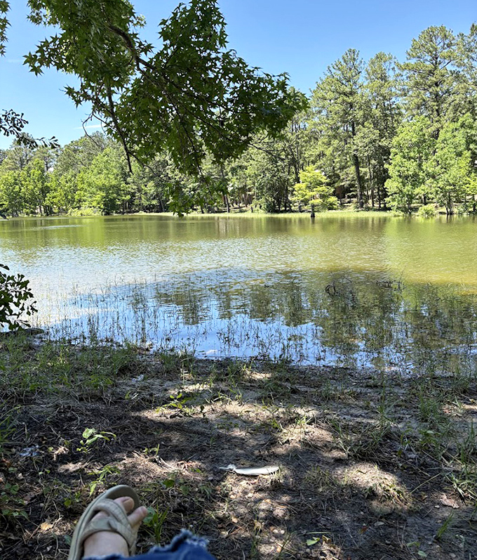 Reflections dancing on calm waters create nature's own meditation app. No subscription required, just bring your appreciation.