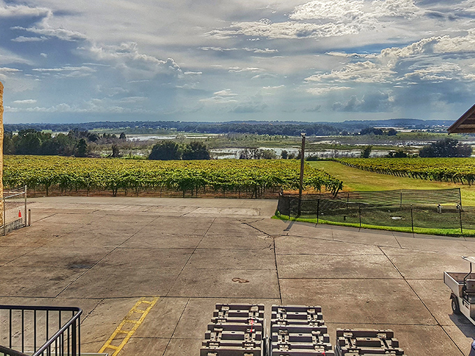 Lakeridge Winery proves that Florida grapes can indeed make wine worth writing home about.