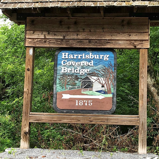 Roadside markers: the original travel influencers. Before TripAdvisor, these blue signs were how you knew something was worth stopping for.