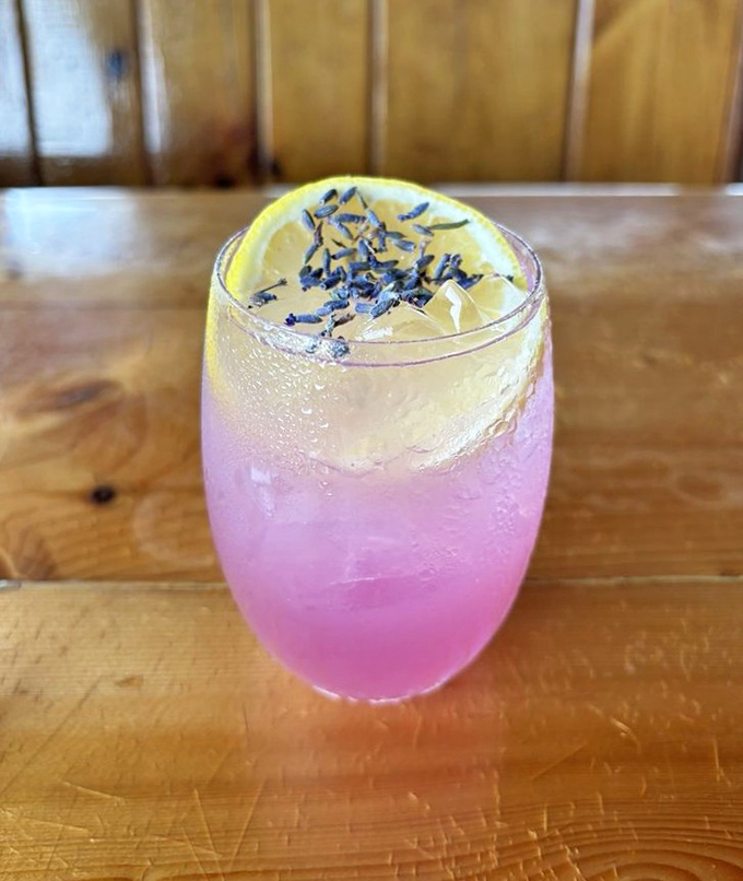 This isn't just lavender lemonade &ndash; it's summer in Maine captured in a glass, with colors that would make Instagram influencers weep with joy.