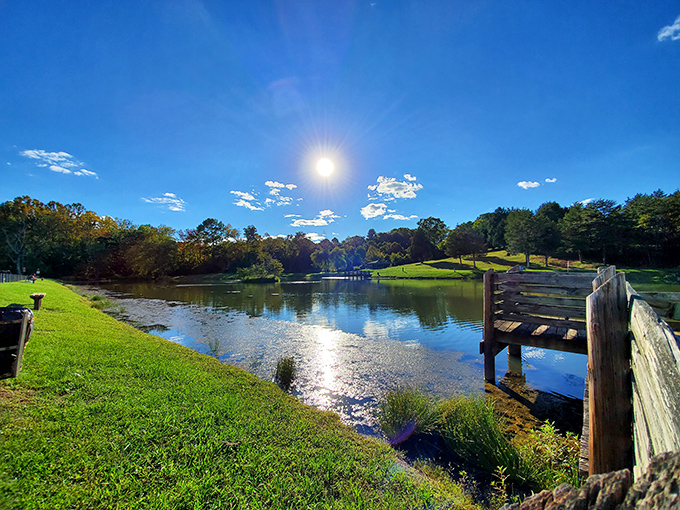 Nature doesn't need Instagram filters to look this good. Bedford's serene waterways offer the kind of peace you can't download from an app. 