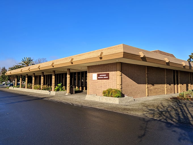 The Northwest Santa Rosa Library offers more than books&mdash;it's a community hub where retirees gather for everything from tech workshops to book clubs.