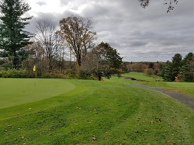 Litchfield Country Club: where the greens are as meticulously maintained as a retirement portfolio should be.