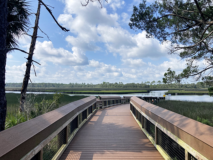 The boardwalk cuts through marshes like nature's catwalk, showcasing Florida's wild fashion sense that never goes out of style.