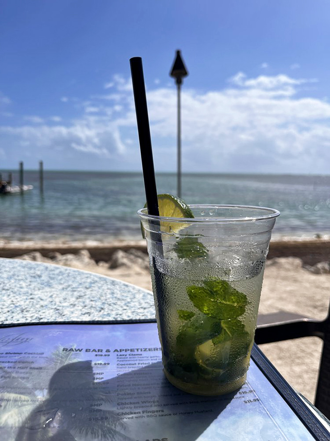 A mojito with that view? This isn't just a drink, it's therapy with rum and mint. Doctor's orders!