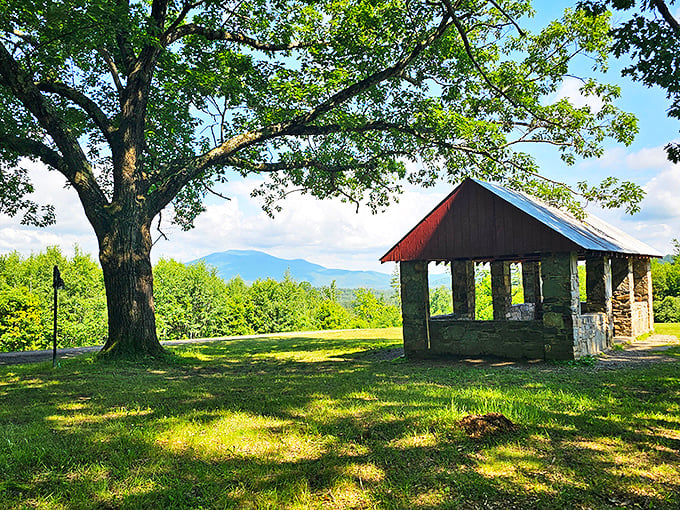 This rustic shelter offers a perfect frame for mountain views, where simplicity becomes luxury and a wooden bench rivals any five-star accommodation. 