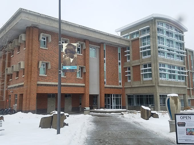 The Museum of Culture & Environment brings together natural history and human stories in surprisingly engaging ways for a university collection.