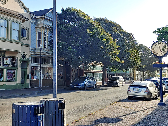 Tree-lined streets where Victorian charm meets small-town practicality. In Eureka, even running errands feels like you're wandering through a period film set.