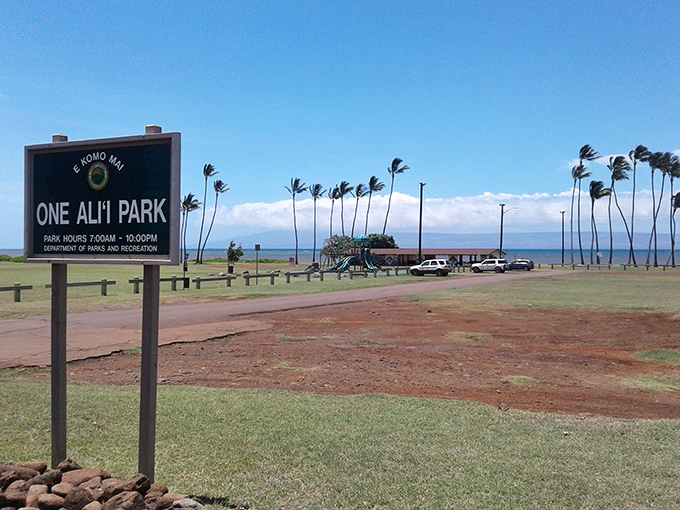 One Ali'i Park offers oceanfront relaxation without the resort crowds. The palm trees practically whisper "slow down."