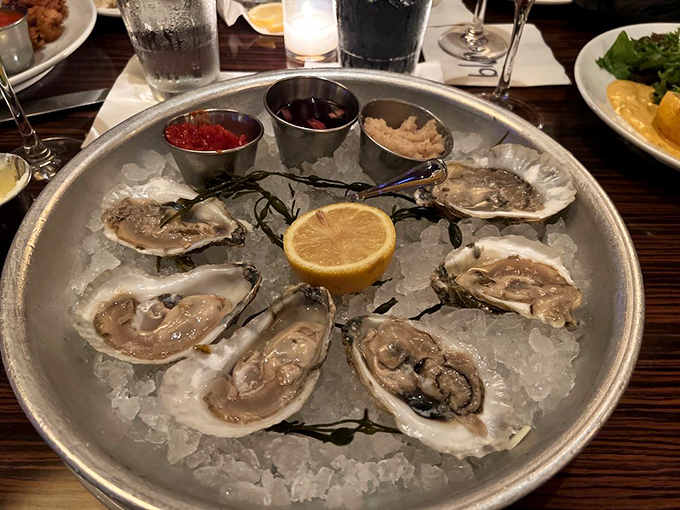 Fresh oysters on ice, bringing the ocean to Pennsylvania one briny, beautiful bite at a time.