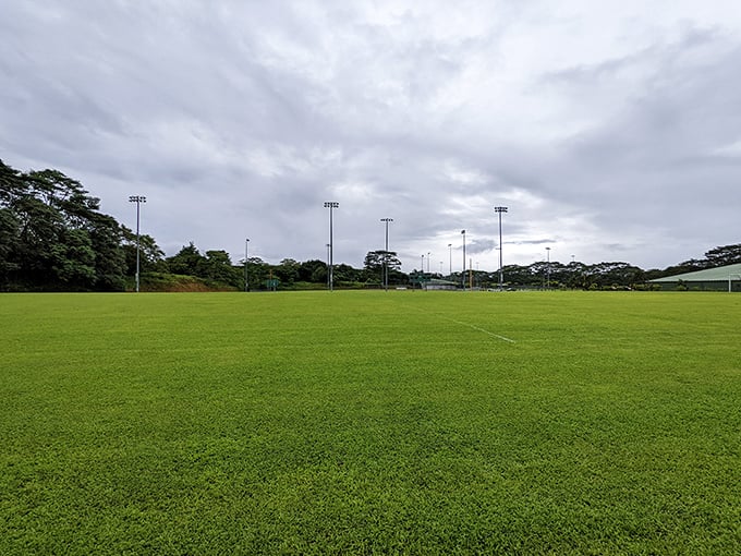 Pahoa District Park's emerald fields stretch toward the horizon. On clear days, you can almost see your mainland worries disappearing.