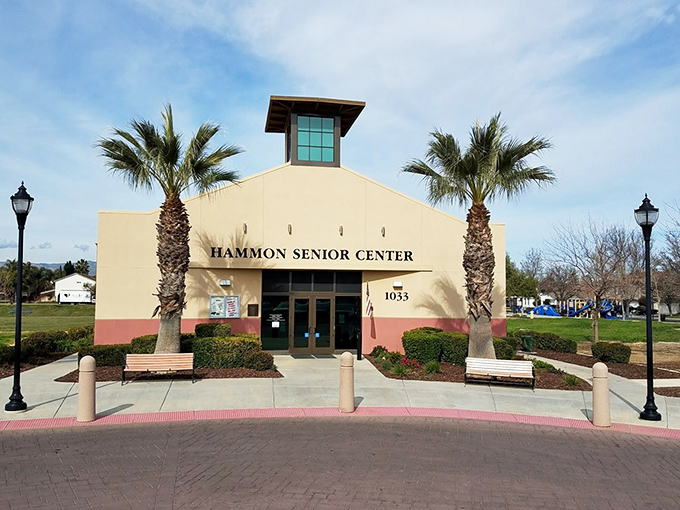 The Hammon Senior Center isn't just a building; it's where wisdom gathers daily and retirement becomes an adventure rather than an afterthought.