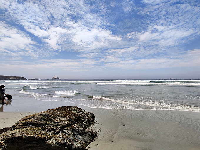Where the ocean meets the shore in a daily dance that's been choreographed over millennia. Nature's rhythm at its finest.