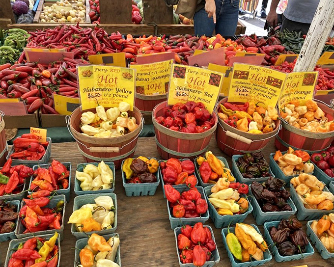 Hot peppers arranged like edible jewels promise to add serious fire to your home cooking adventures.
