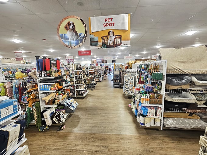 The Pet Spot: where Fido gets more shopping consideration than most family members. Those tennis balls aren't going to buy themselves!