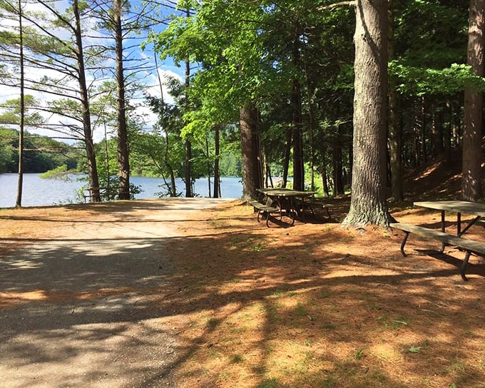 Lakeside picnicking spots that make fast food drive-thrus weep with inadequacy. Just add sandwich and instant memory is created.