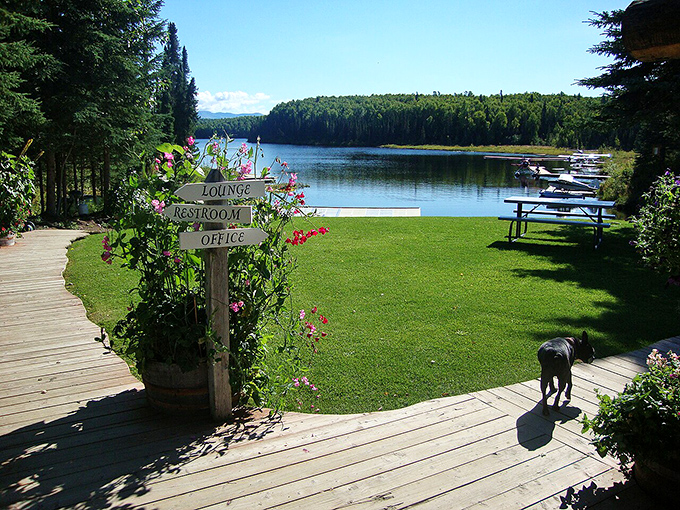 Lakeside lounging, Alaskan-style &ndash; where even the directional signs seem to suggest "slow down, the scenery deserves your full attention."