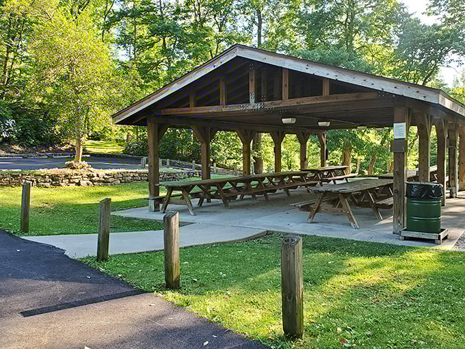 The picnic shelter &ndash; where family reunions and the occasional squirrel heist of unattended sandwiches happen in equal measure.
