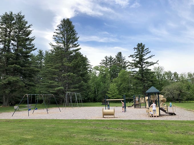 The playground where kids burn energy while parents secretly wish they could join in. Those swings are calling to your inner child!