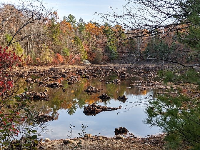Autumn's masterpiece reflected in still waters&mdash;Mother Nature showing off her best New England wardrobe.