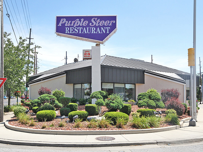 Purple Steer Restaurant's meticulously maintained landscaping suggests they take the same care with their meatloaf as they do their shrubs.