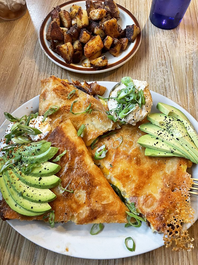 Breakfast reimagined as art. Crispy edges, fresh avocado, and perfectly cooked eggs create a plate that's almost too beautiful to eat. Almost.