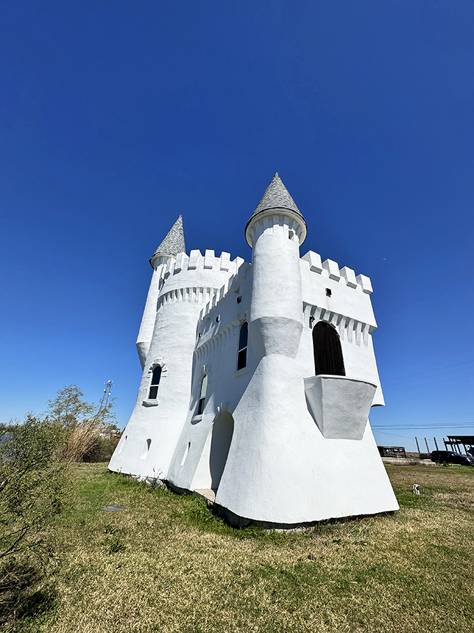 The castle's impressive tower reaches skyward, its conical roof and battlements ready to defend against any marauding tourist photographers.
