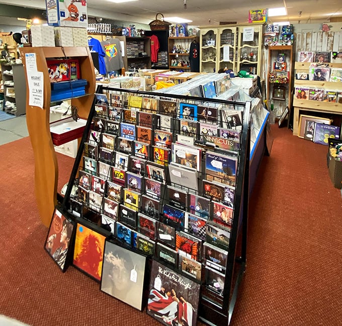 Vinyl heaven for music lovers! These record bins hold forgotten B-sides and classic albums that Spotify can't replicate.