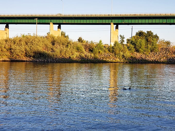 The Feather River flows peacefully under Marysville's bridge, offering scenic views and fishing spots that don't require a premium membership.
