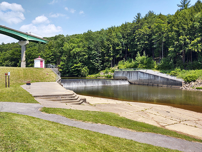 The dam creates a perfect mirror for the surrounding greenery. Where engineering and nature reached a handshake agreement decades ago.