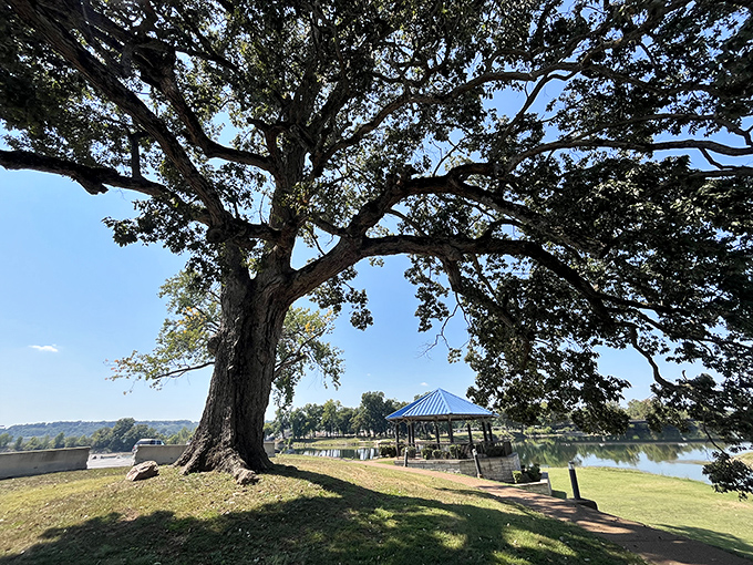 Beneath this majestic oak, generations have contemplated life's big questions and small pleasures. Riverside Park offers million-dollar views on a fixed-income budget.