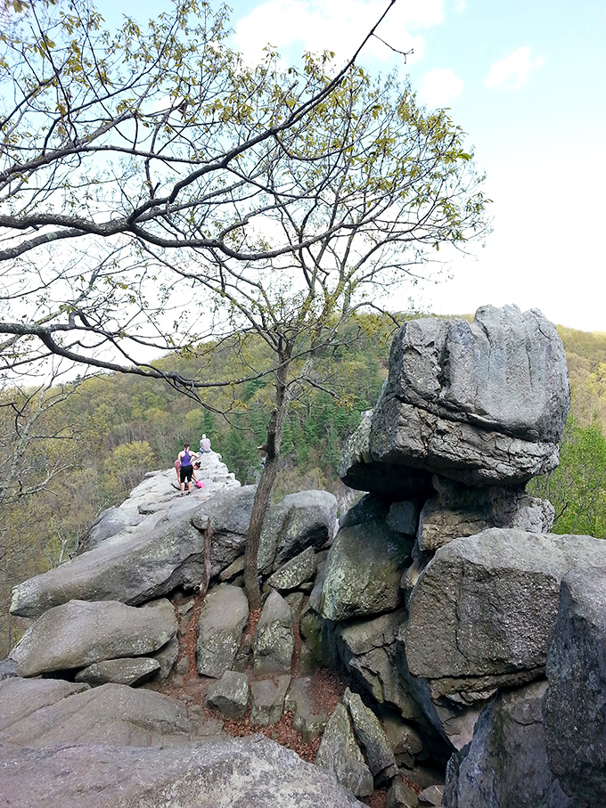 These aren't just rocks; they're 500-million-year-old sculptures that make modern art museums seem like newcomers to the aesthetics game.