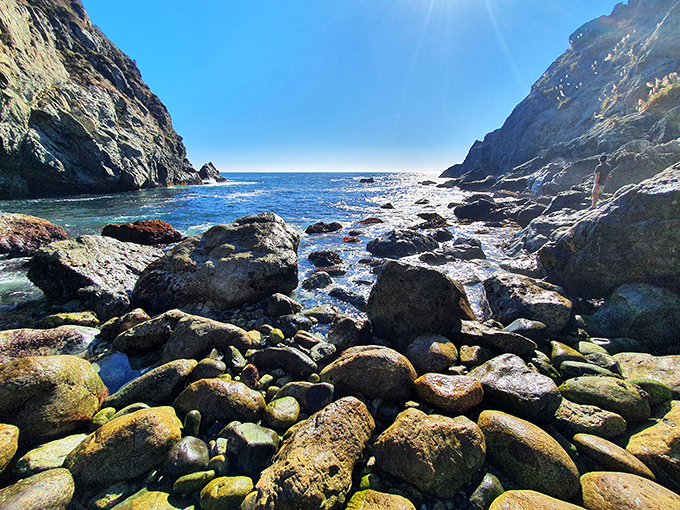 Rock stars of the coast. These ancient boulders have weathered more storms than your favorite band has hotel rooms.