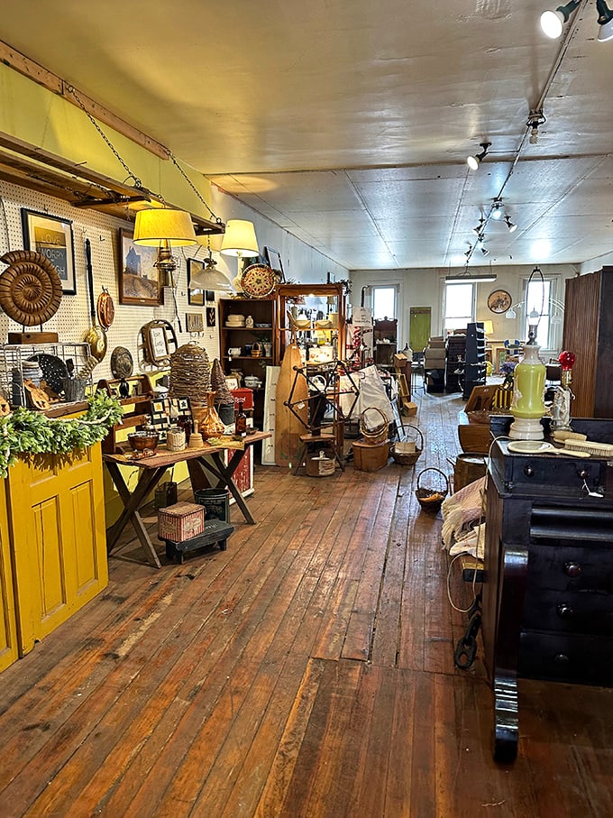 Sunlight streams through tall windows, illuminating wooden floors that have supported treasure hunters for decades. The ladder isn't decorative – it's necessary.