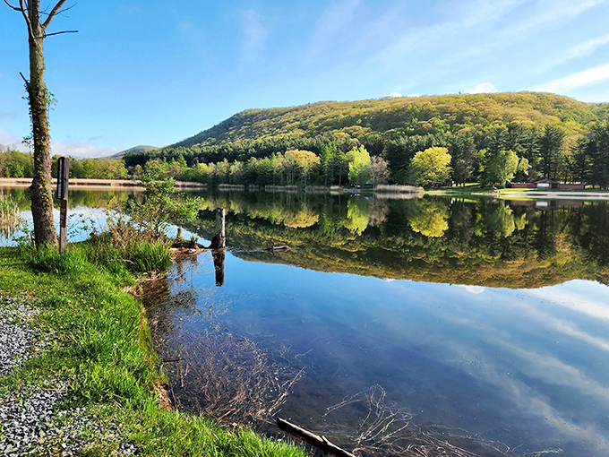 Reflection game strong. The mountain seems to admire itself in the glassy pond&mdash;nature's version of a selfie without the awkward arm angle.