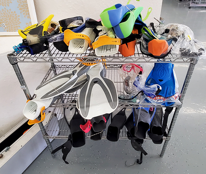 Snorkel gear galore! Why rent when you can own? These fins and masks are ready for their next underwater adventure with you.