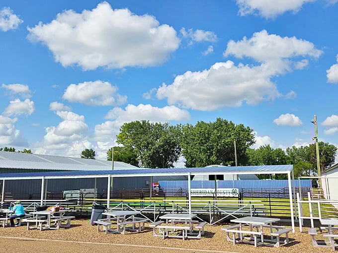 The fairgrounds&mdash;where summer memories are made on metal bleachers that have witnessed generations of blue-ribbon dreams.