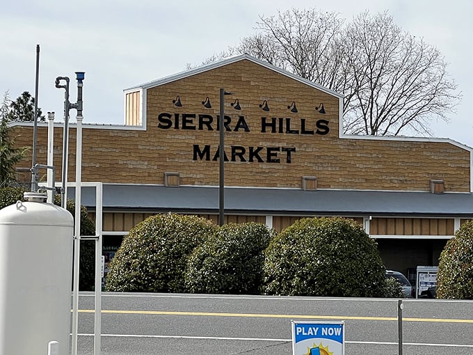 Sierra Hills Market reminds us of the days when grocery shopping didn't require navigating endless aisles or deciphering seventeen types of milk.