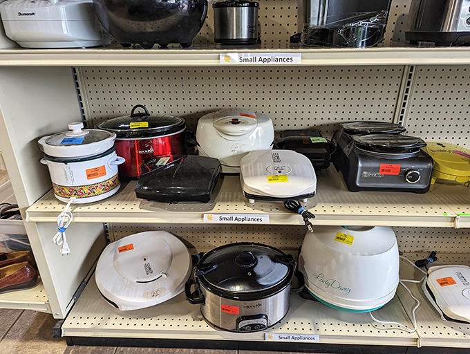 Slow cookers, rice makers, and waffle irons galore&mdash;this small appliance section is where kitchen dreams come true without the nightmare price tags.