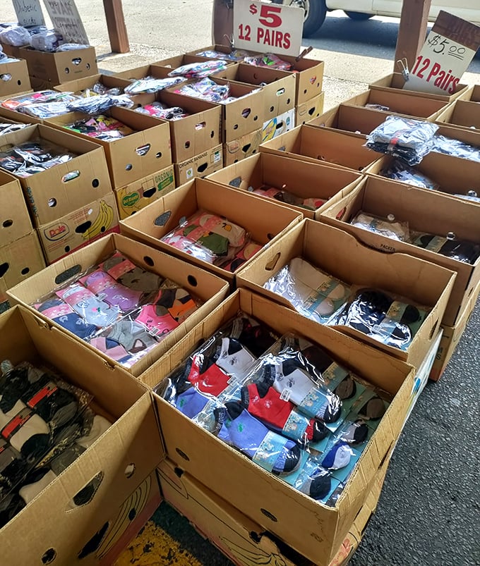 Sock bonanza! These cardboard boxes hold the solution to every missing-sock mystery in New Jersey&mdash;twelve pairs at a time.