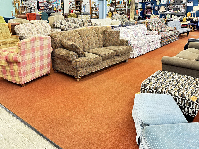 The sofa lineup looks like a family reunion where everyone has a different personality but somehow gets along perfectly.