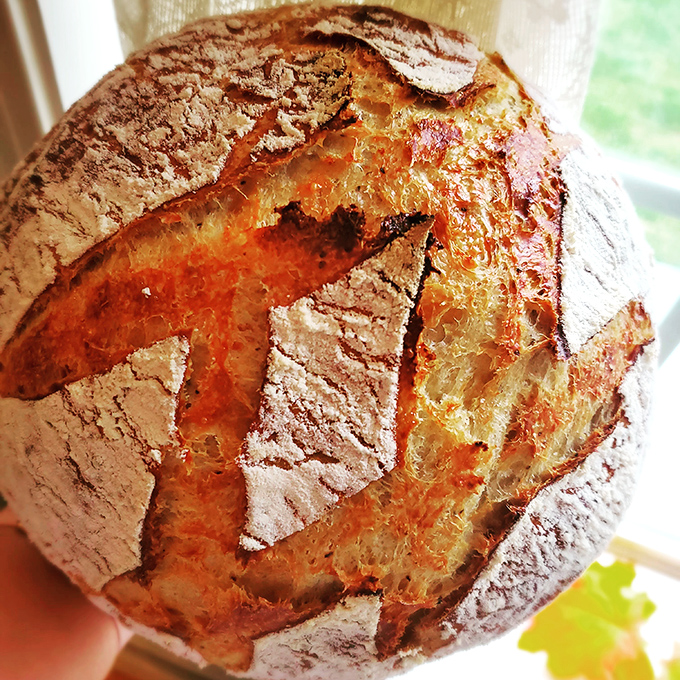 This sourdough isn't just bread—it's a crusty, golden testament to patience, fermentation, and why carbs will always be worth the guilt.