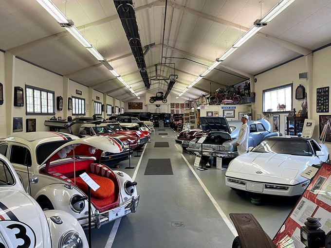 Classic cars line up like eager students on the first day of school, each one polished to perfection and ready to share its unique story.