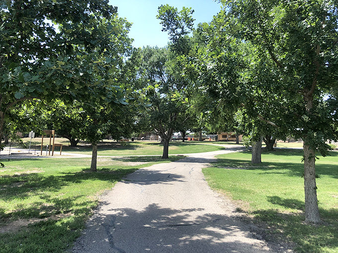Towering trees create dappled shade along walking paths in one of Roswell's many parks &ndash; perfect for morning constitutionals before the desert heat intensifies.