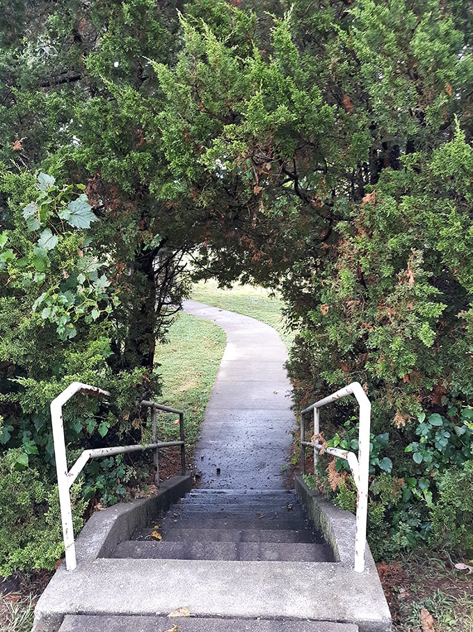 Tree-lined paths lead down the bluff, because even approaching Villa Kathrine requires a proper sense of anticipation.