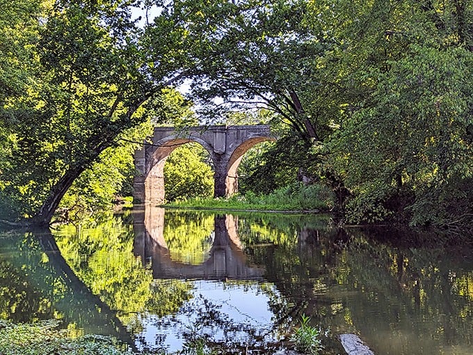 Starkey Park's stone bridge reflects perfectly in still waters, creating the kind of scene that makes amateur photographers feel like Ansel Adams.