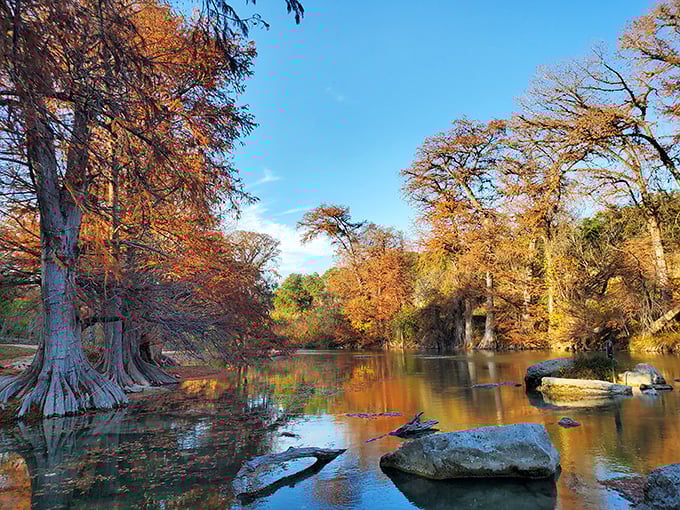 Fall transforms the park into a painter's palette of amber and gold, reflecting in waters that seem to hold the season's colors.