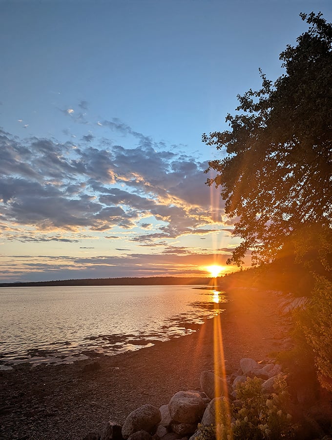 Nature's light show outperforms any Broadway production. Lamoine's sunsets paint the bay in impossible colors that no filter could improve.